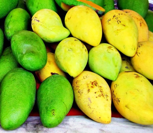 MANGO TREES: Composition of mango kernels