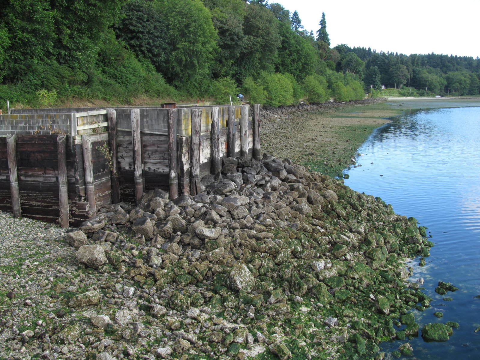 Gravel Beach: Tramp Harbor