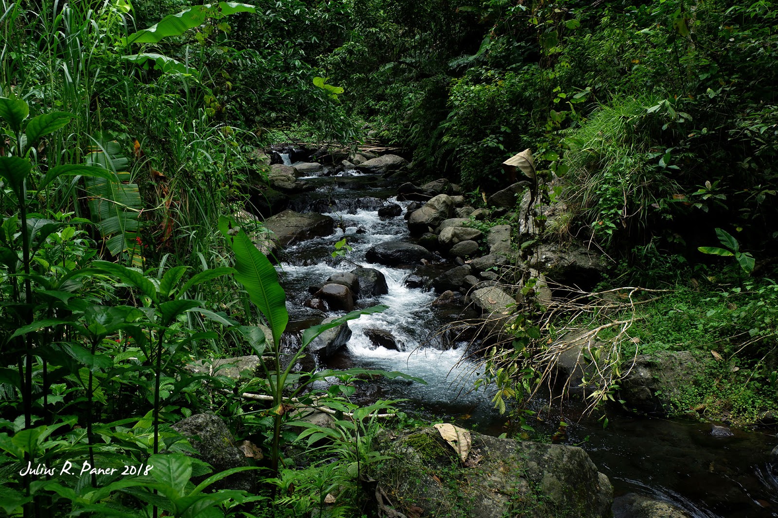 LOGSAC: Tomari Day Trek reminds me of Tudaya Falls
