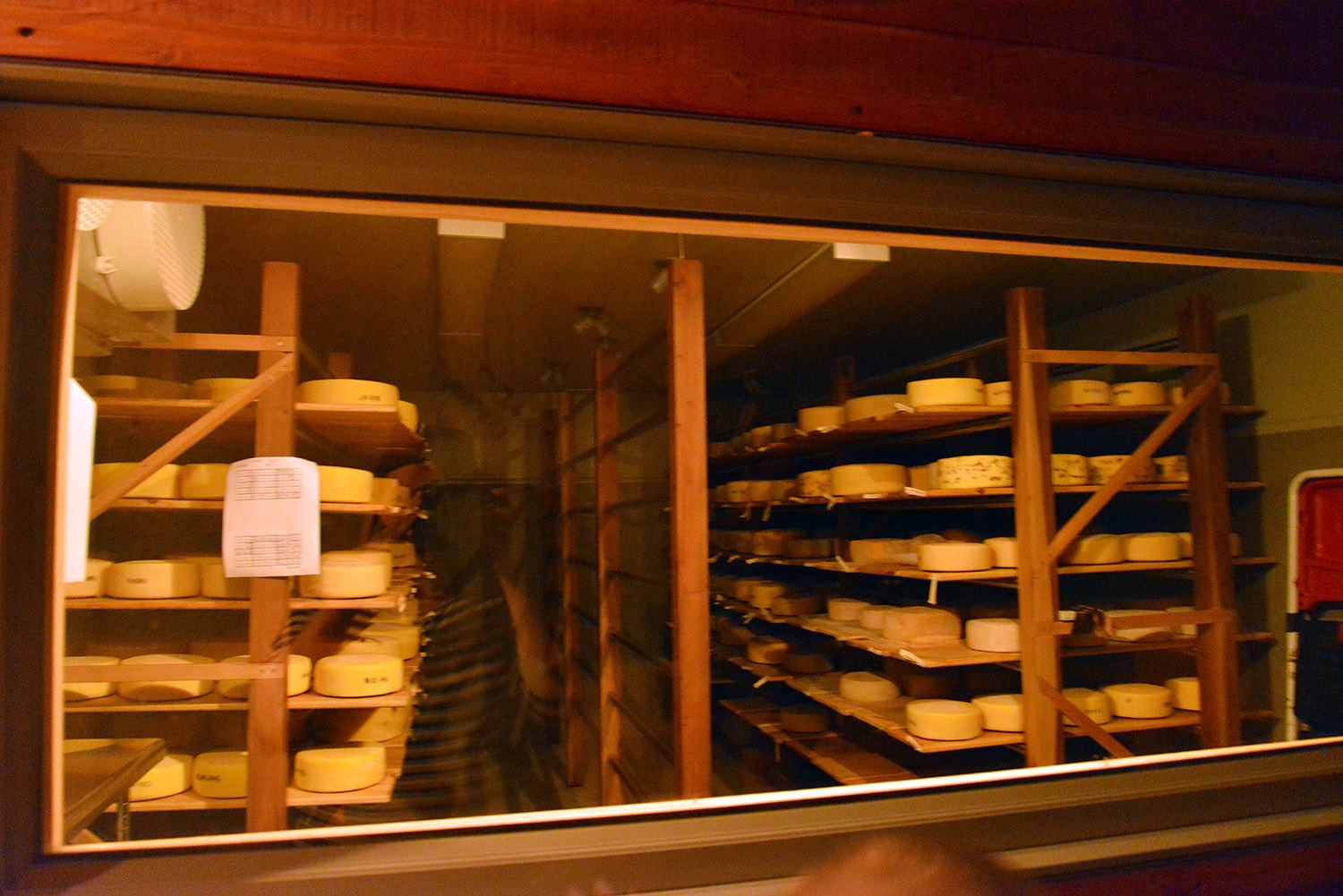 A school of fish: Rockhill Creamery Field Trip