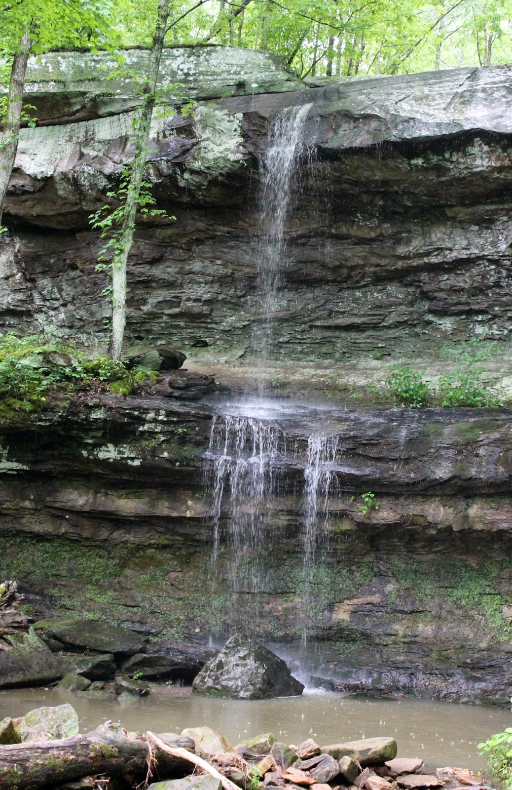 Experiencing Illinois: Rocky Bluff Trail