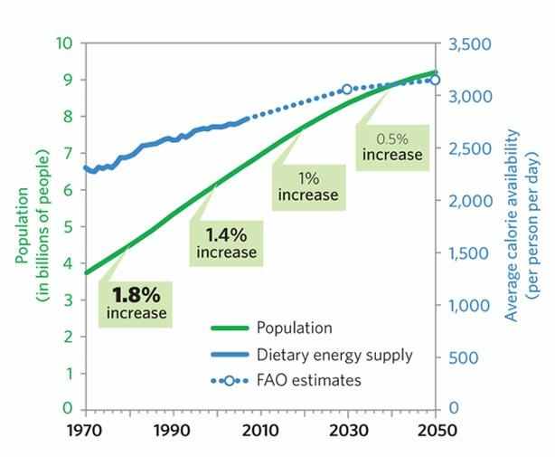Food Production: Food production