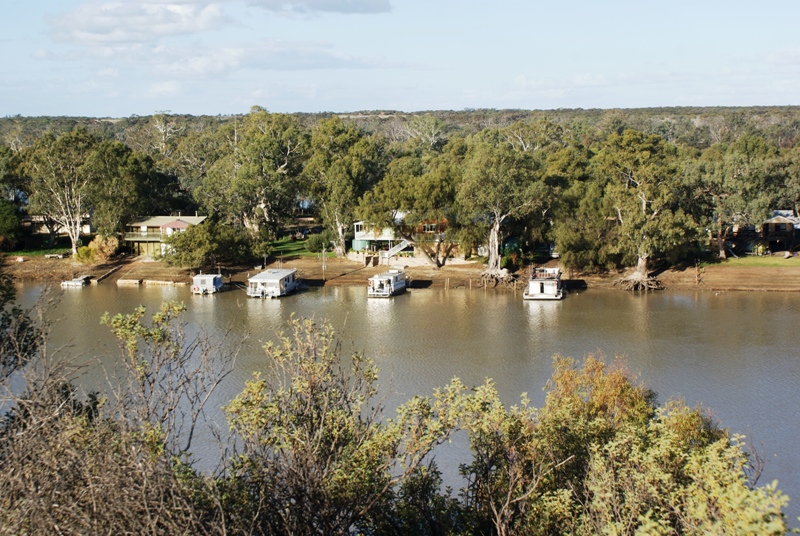 Gallivantour: Morgan and Waikerie SA