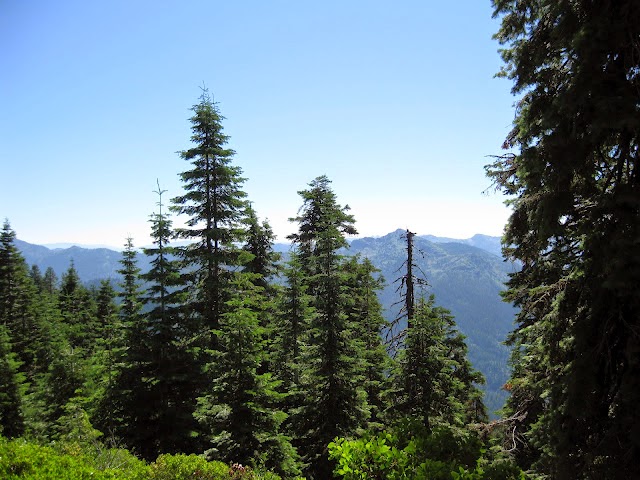 Hiking Sasquatch Country: 35 Tanner Mountain Summit Trail