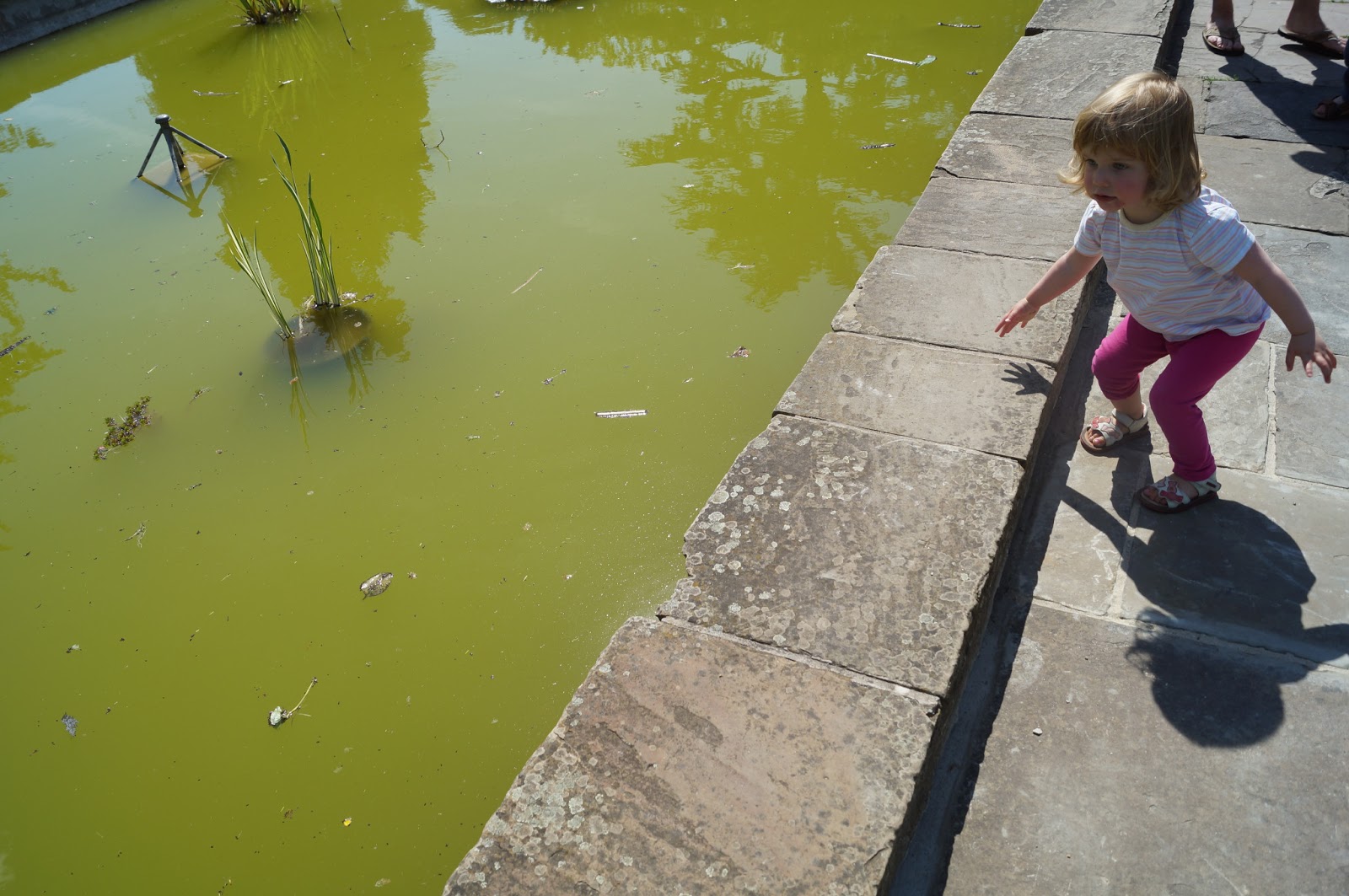 Canford Park, Bristol and Some Childhood Memories | Bristol Mum