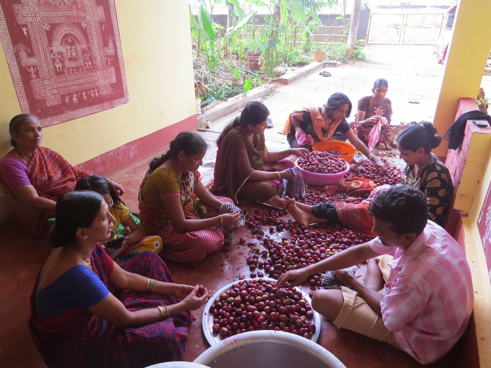 BuDa Folklore: Introducing Kokum: The Perfect Summer Fruit
