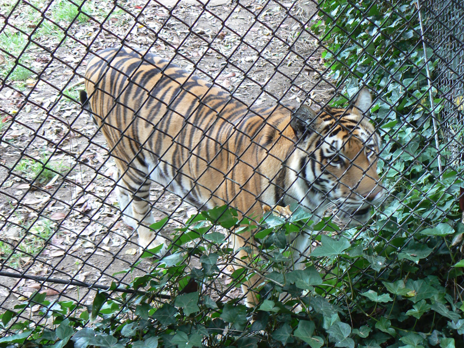 Journey to Forever: 2012