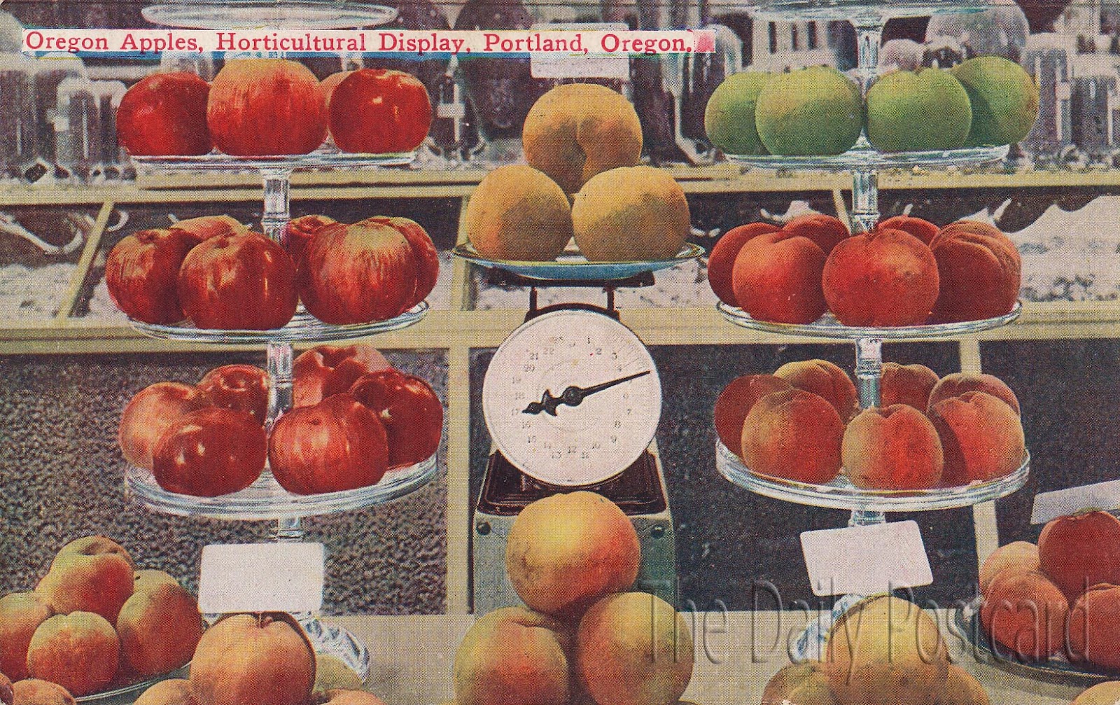 The Daily Postcard: Bellflower Apples
