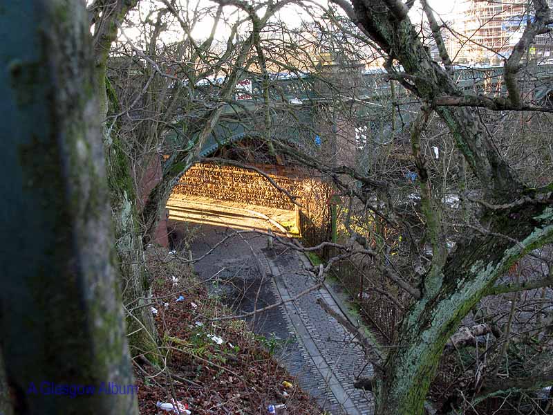 A Glasgow Album: Kelvinbridge: the Belly of the Beast