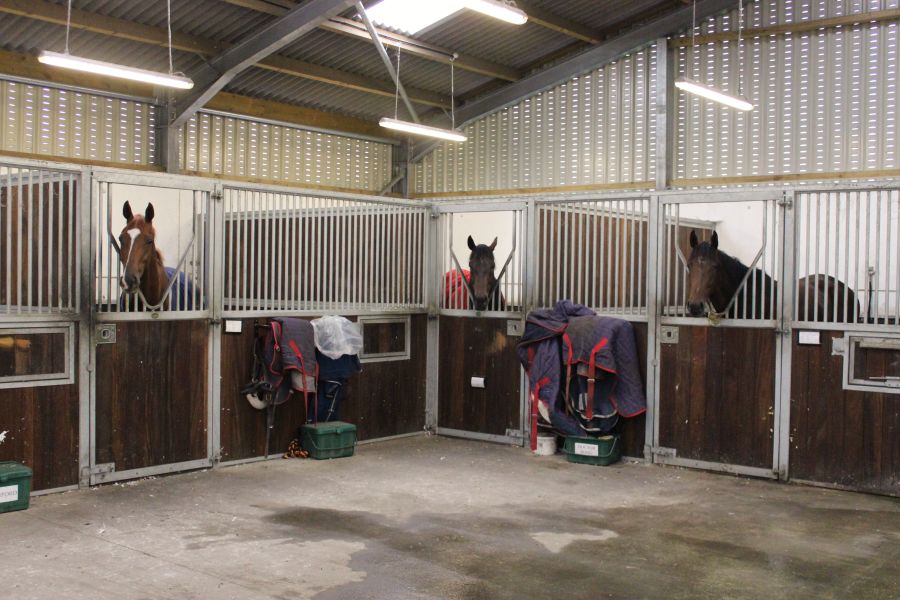 Andrew Balding, Park House Stables, Kingsclere Visit...