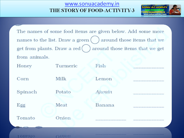 SONU ACADEMY: THE STORY OF FOOD-ACTIVITY