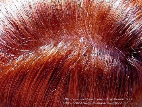Henna Club Indonesia: Cara Memakai Henna Dan Indigo Utk Rambut