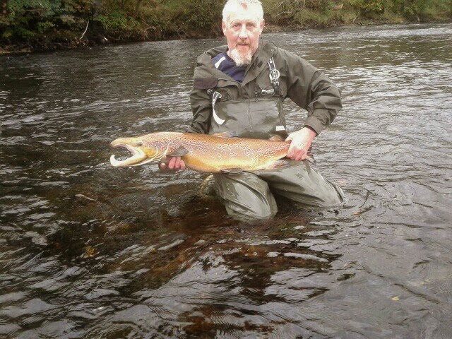 October Fish of the Month Entry - Teith Tartan!