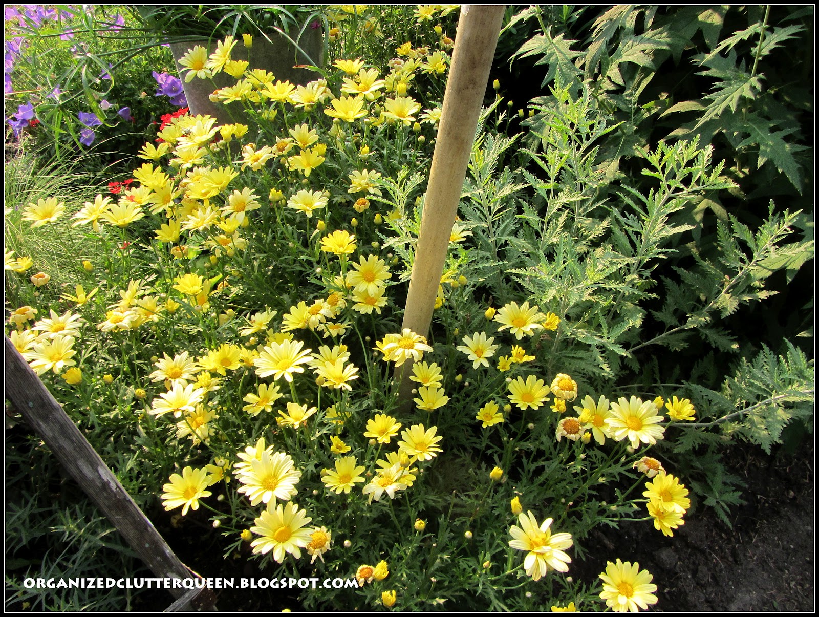 The Front Yard Flower Border - Organized Clutter