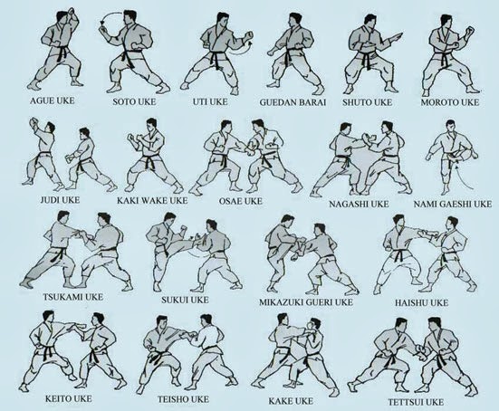 Blog Archives - xilusboomer