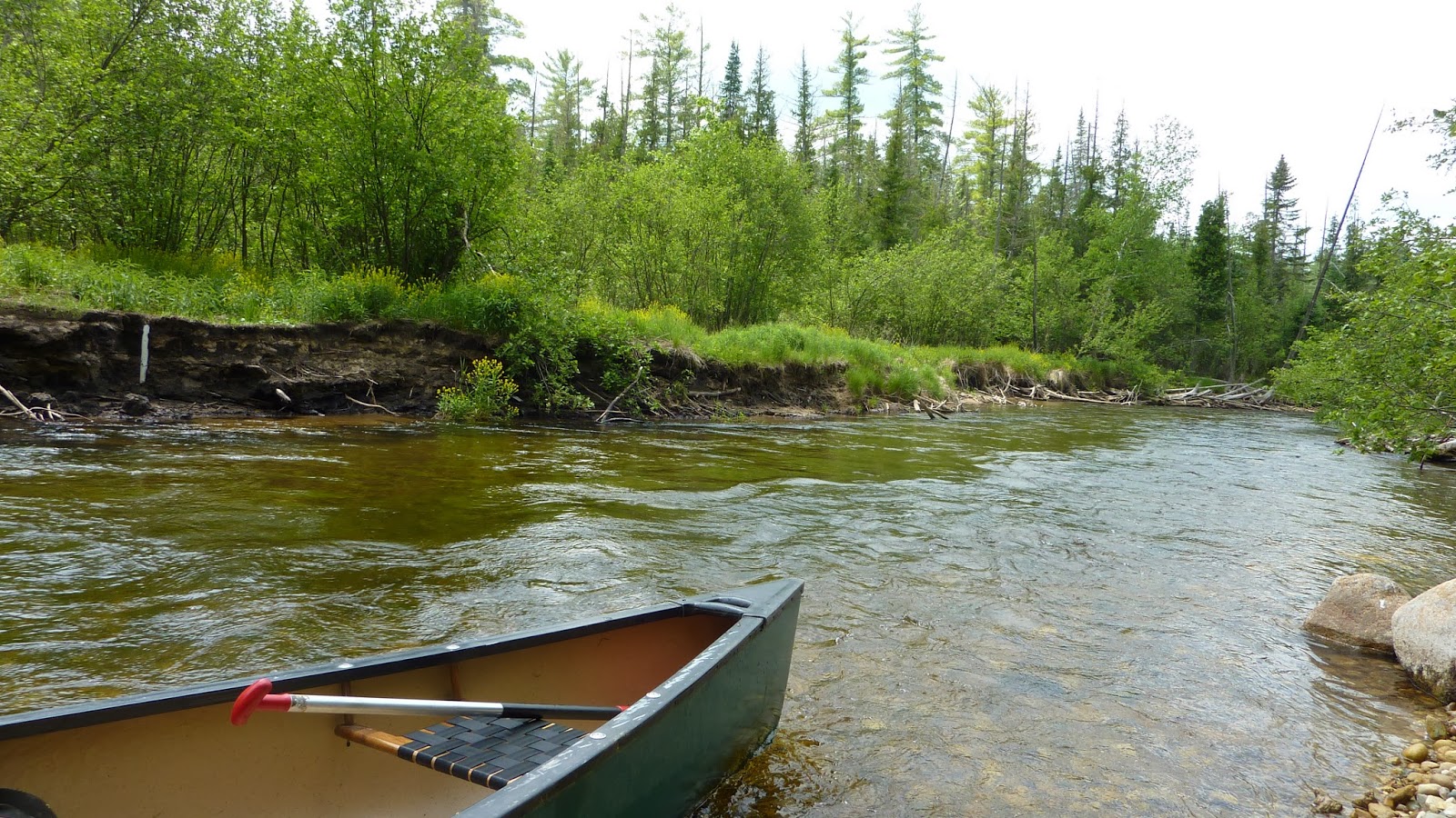 Paddling and Camping in the Midwest: The Boardman River - Michigan
