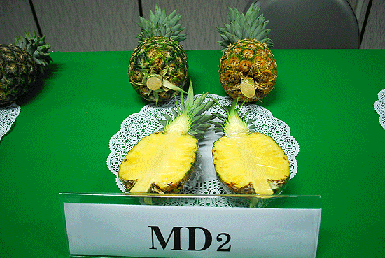 vcanfit สุขภาพดีได้..ง่ายจัง: สับปะรด MD2 อร่อยดี มีประโยชน์ : MD2 ...