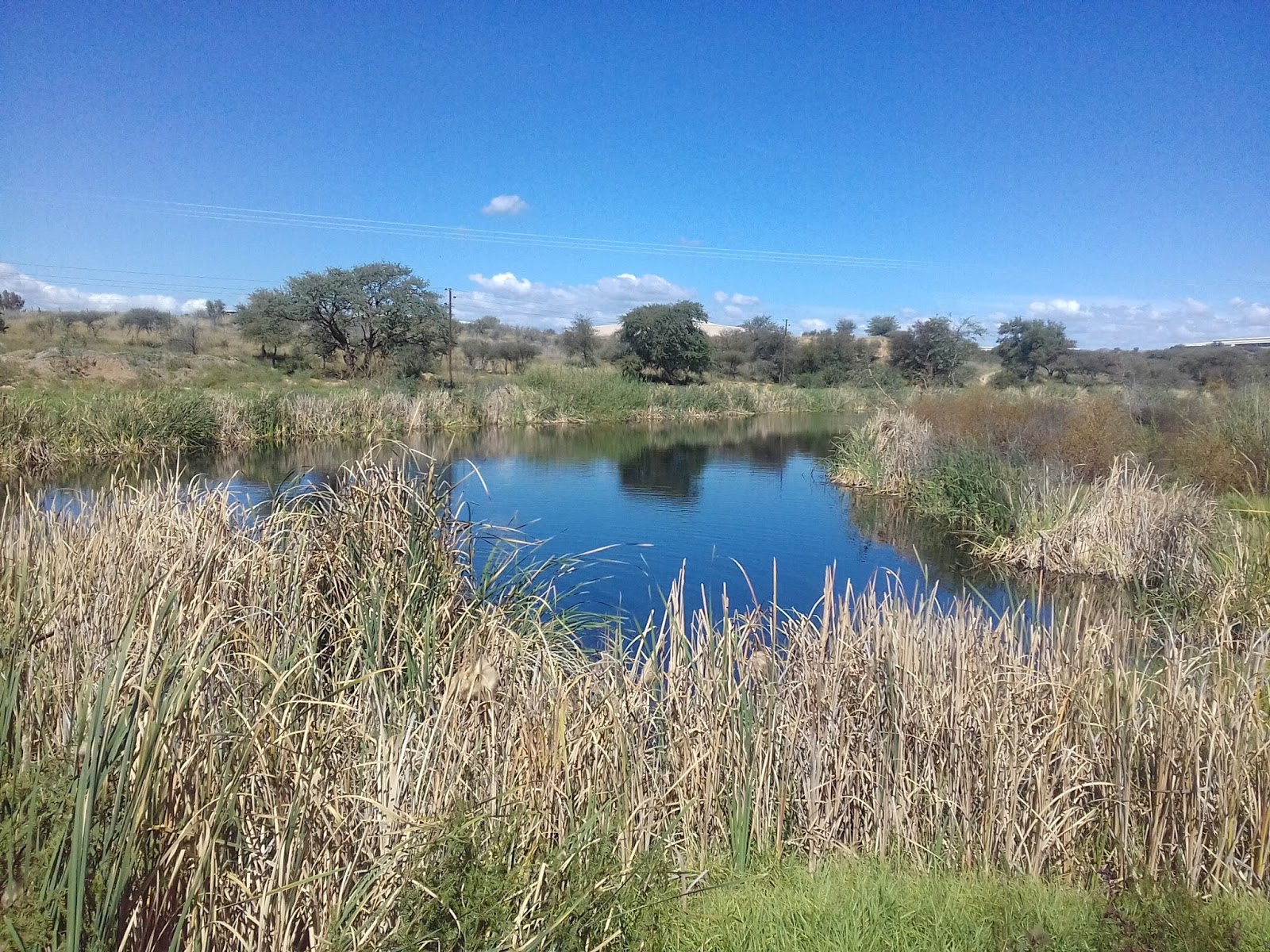 A Lyons adventures in Namibia: Drinking Reclaimed Water in Windhoek