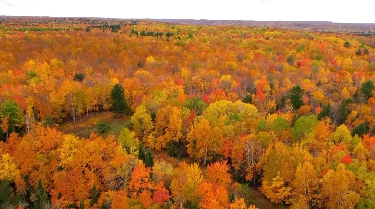 MEC&F Expert Engineers : Flash flooding along Chocolay River causes ...