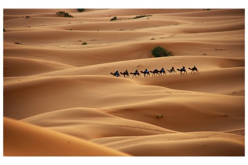 Sahara Desert World Largest Desert in Africa ~ Luxury Places