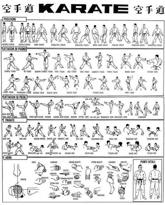 JKA NIKKEY ASSOCIACAO ARAPONGUENSE: Posições - Dachi e Golpes (Tecnicas ...