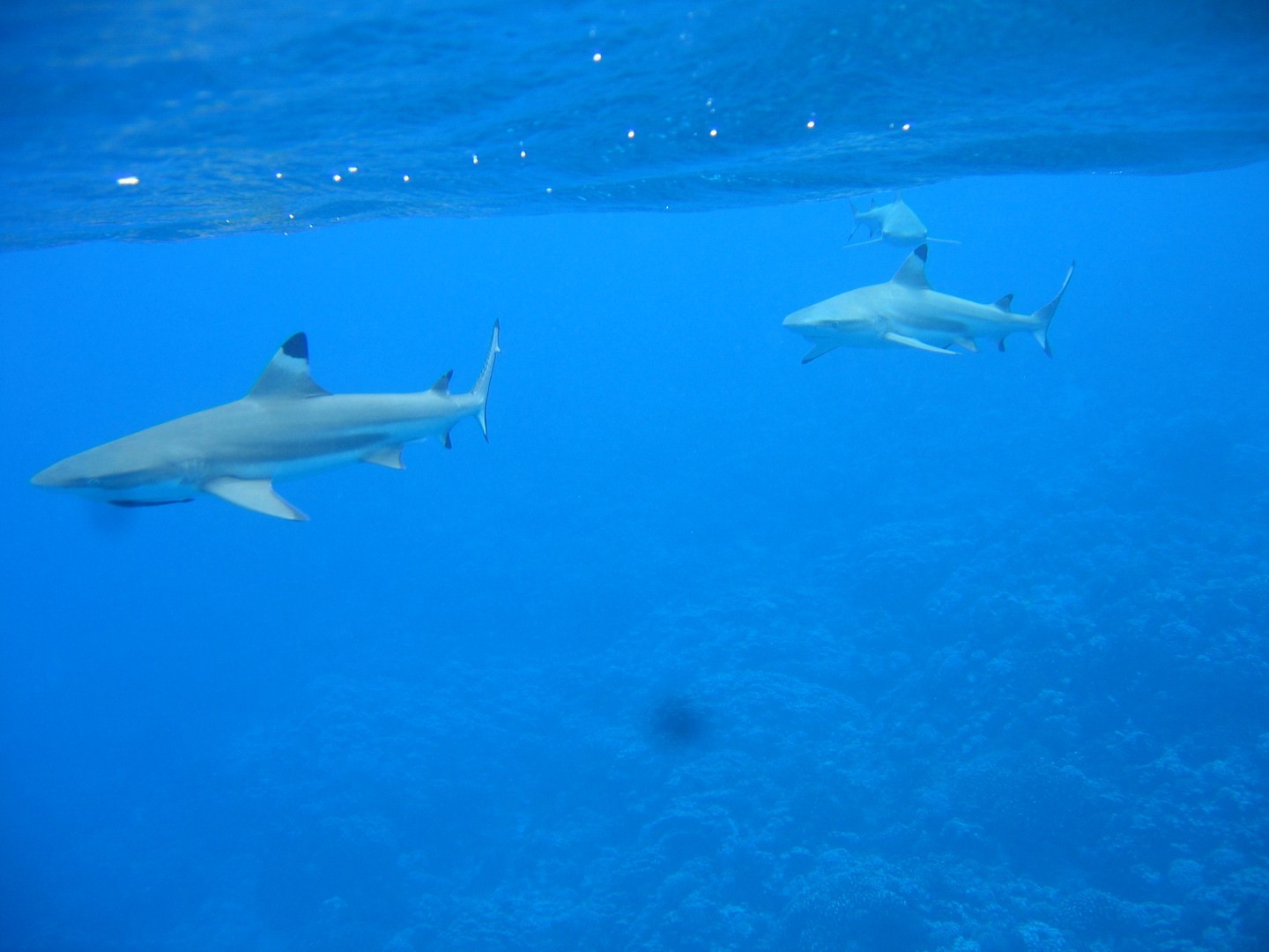 Life afloat on a 40 foot boat.