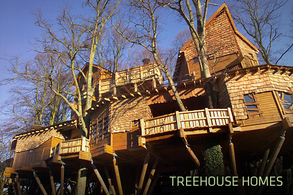 opalblog: Treehouse Homes