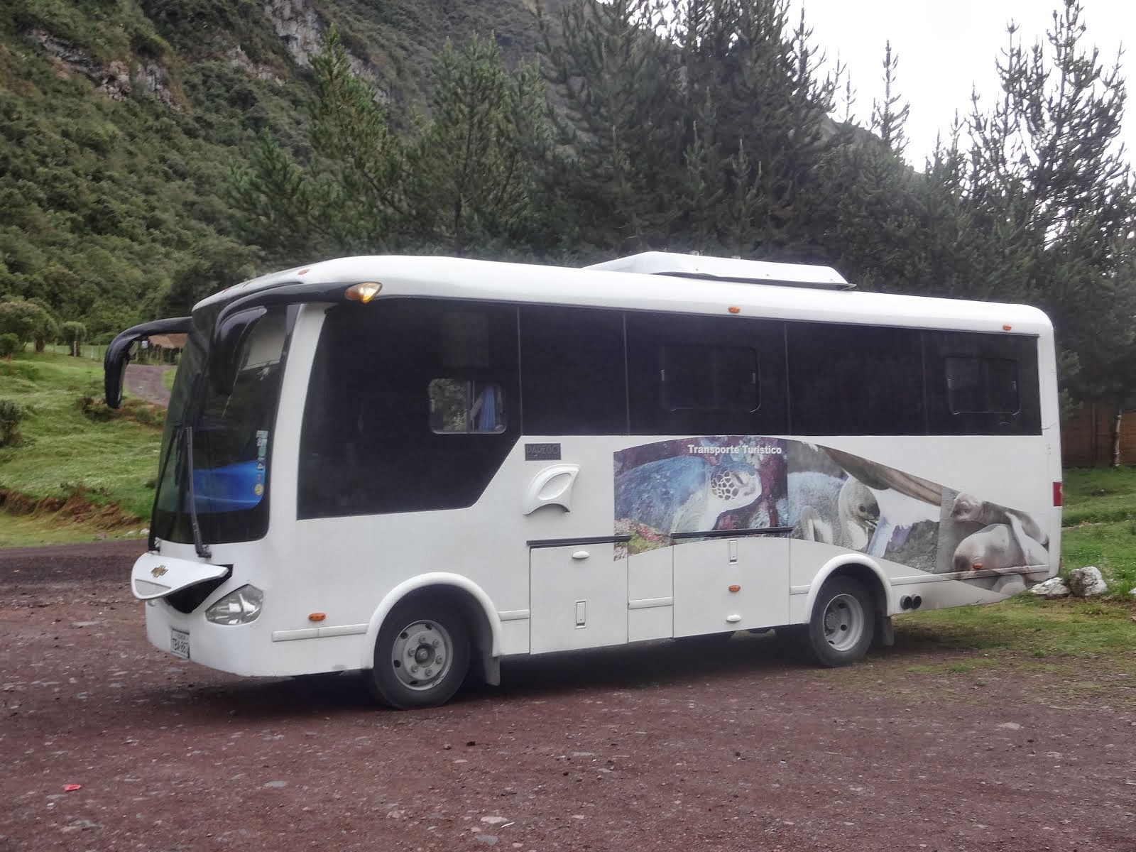 SERVICIO DE TRANSPORTE TURISTICO: PRECIOS