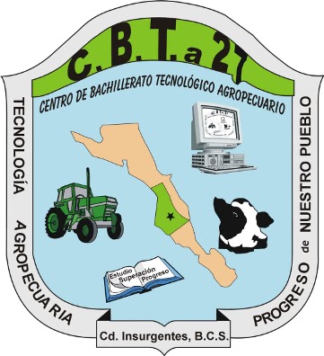 MANTIENE EQUIPO DE COMPUTO