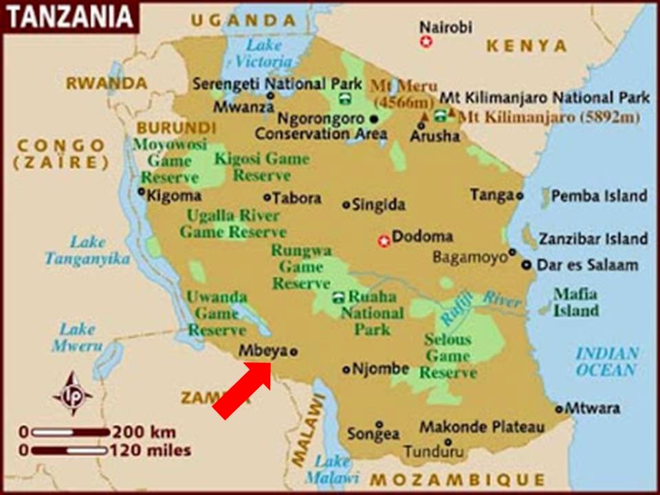 Priest For Those Who Don't Go to Church: Mbeya Countdown!