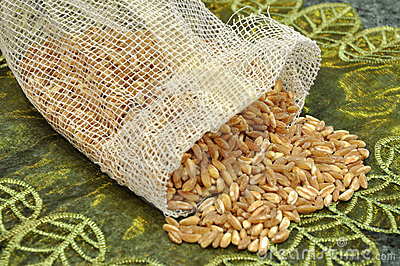 Spelt (Grain) | Nutrition and Addiction