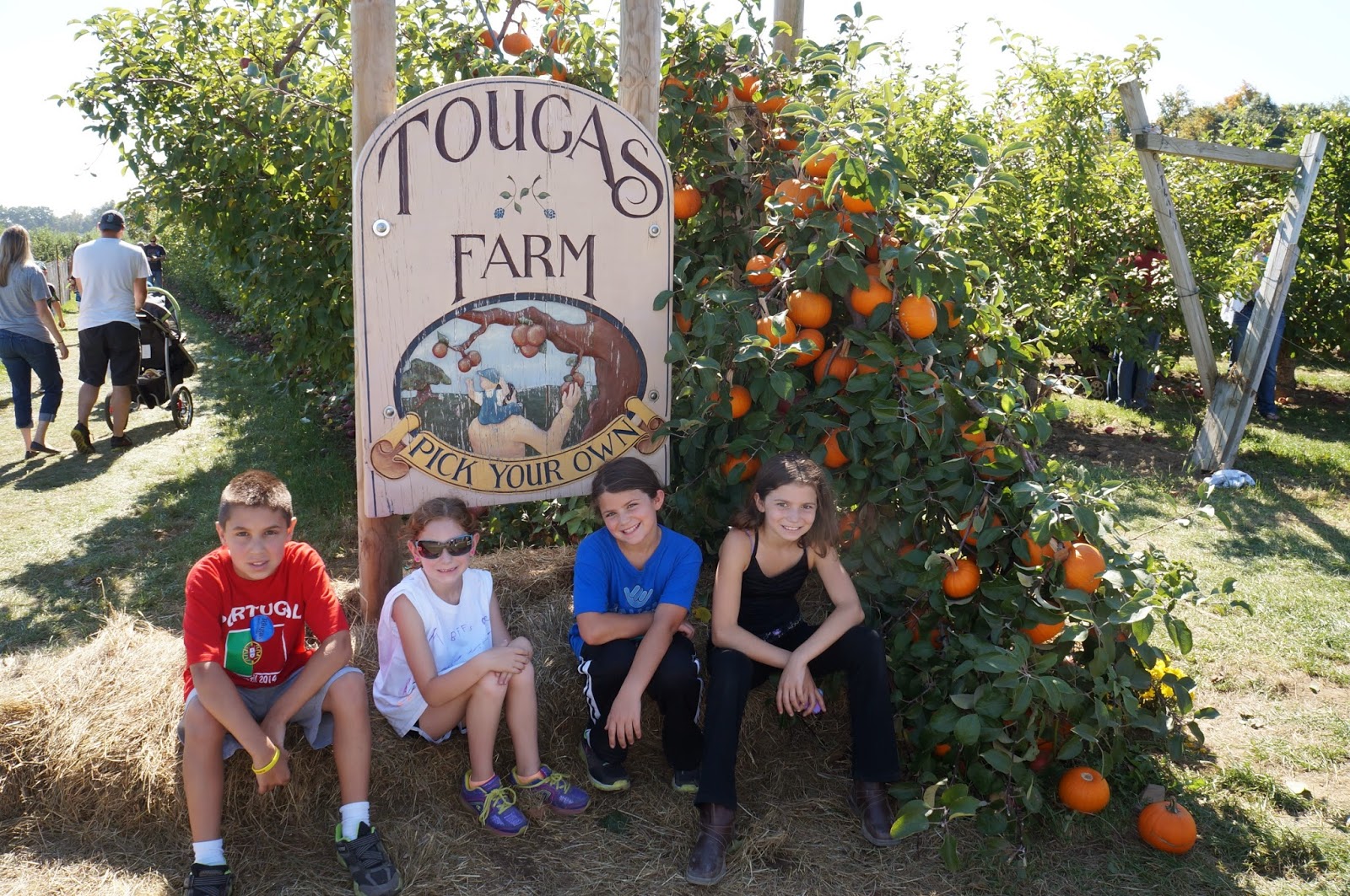 Evan and Lauren's Cool Blog: 10/4/14: Apple Picking Fall Fun at Tougas Farm