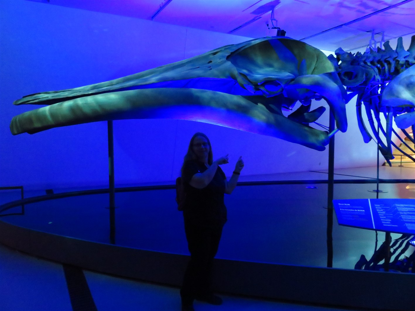 The World of Gord: Out of the Depths, The Blue Whale Exhibit at the ROM
