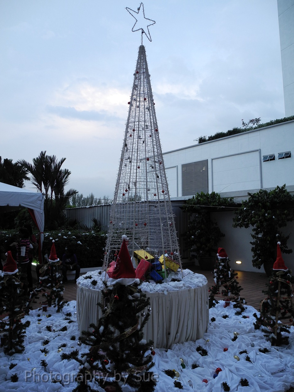 The World Through My Eyes: Christmas Tree Light Up