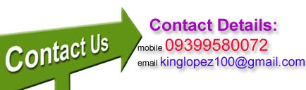 Washington Place Dasmariñas Cavite: Wynona Model House - 110 Square Meter