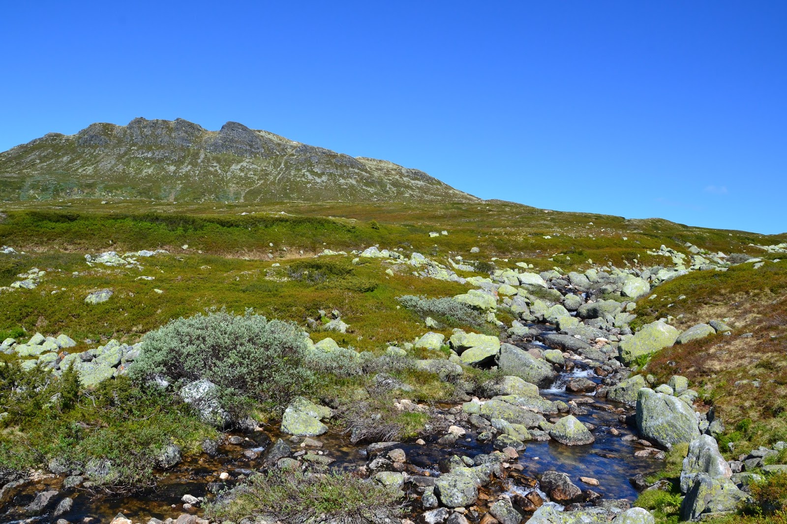 Rundtur Tempelseter - Ranten - Tempelseter 27.06.17