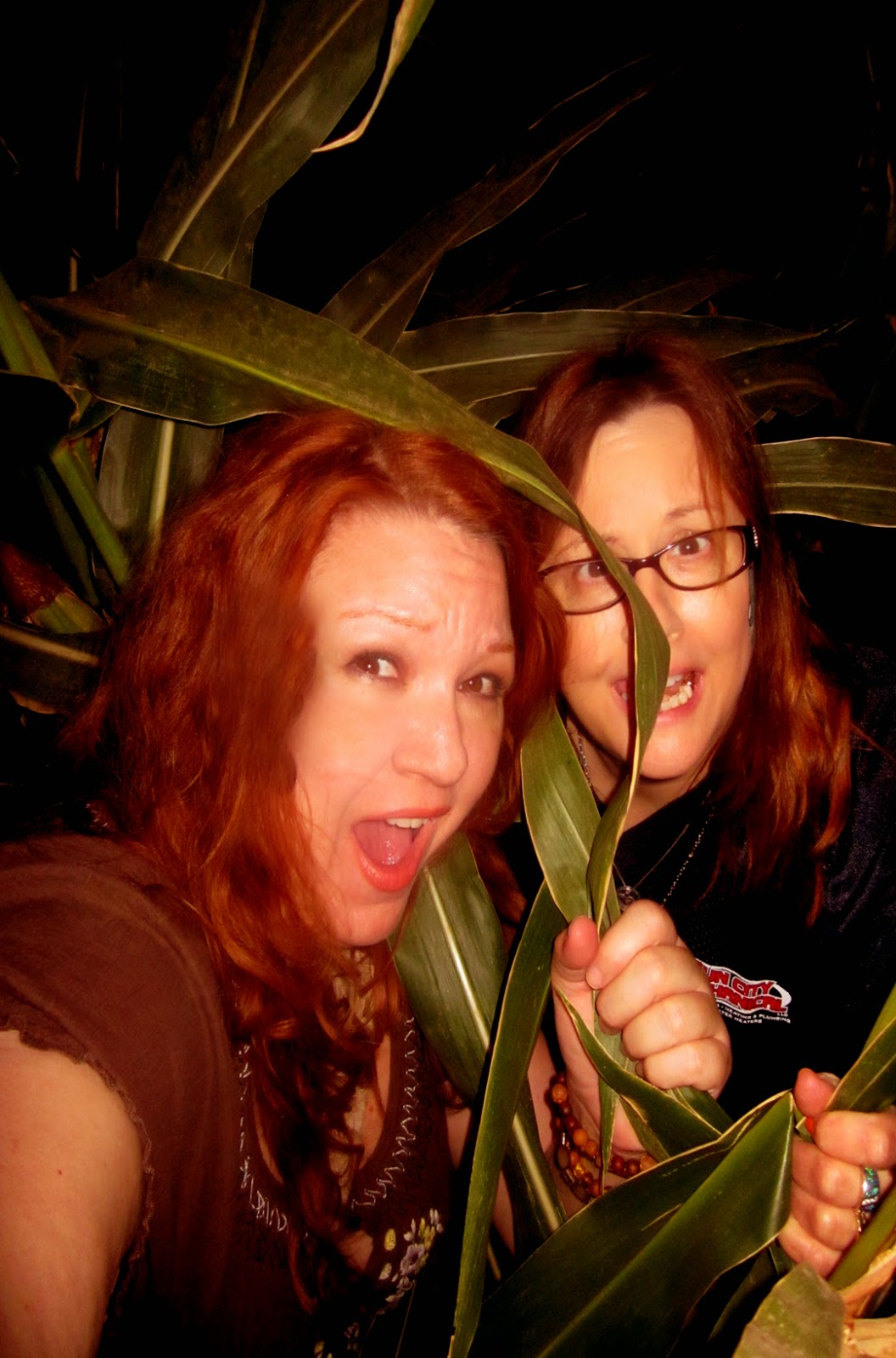 Desert-themed Horror Movies