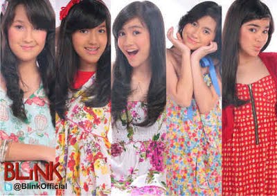 My Diary: BIODATA PERSONIL BLINK