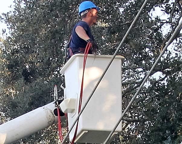 The Mayor's Blog: Power Line Vegetation Maintenance Scheduled to Begin ...