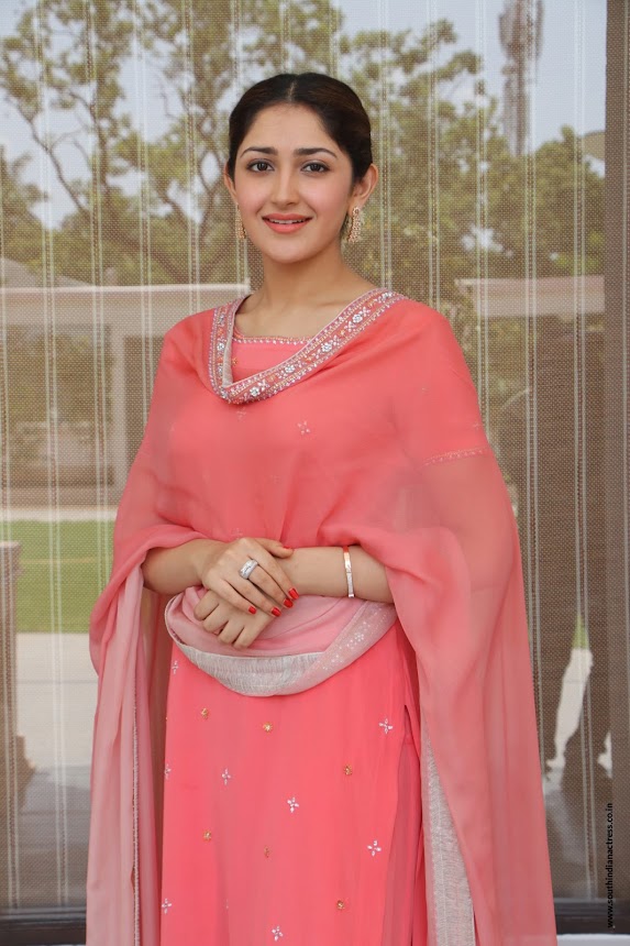 Sayyeshaa Saigal At Kadaikutty Singam Success Meet South Indian Actress