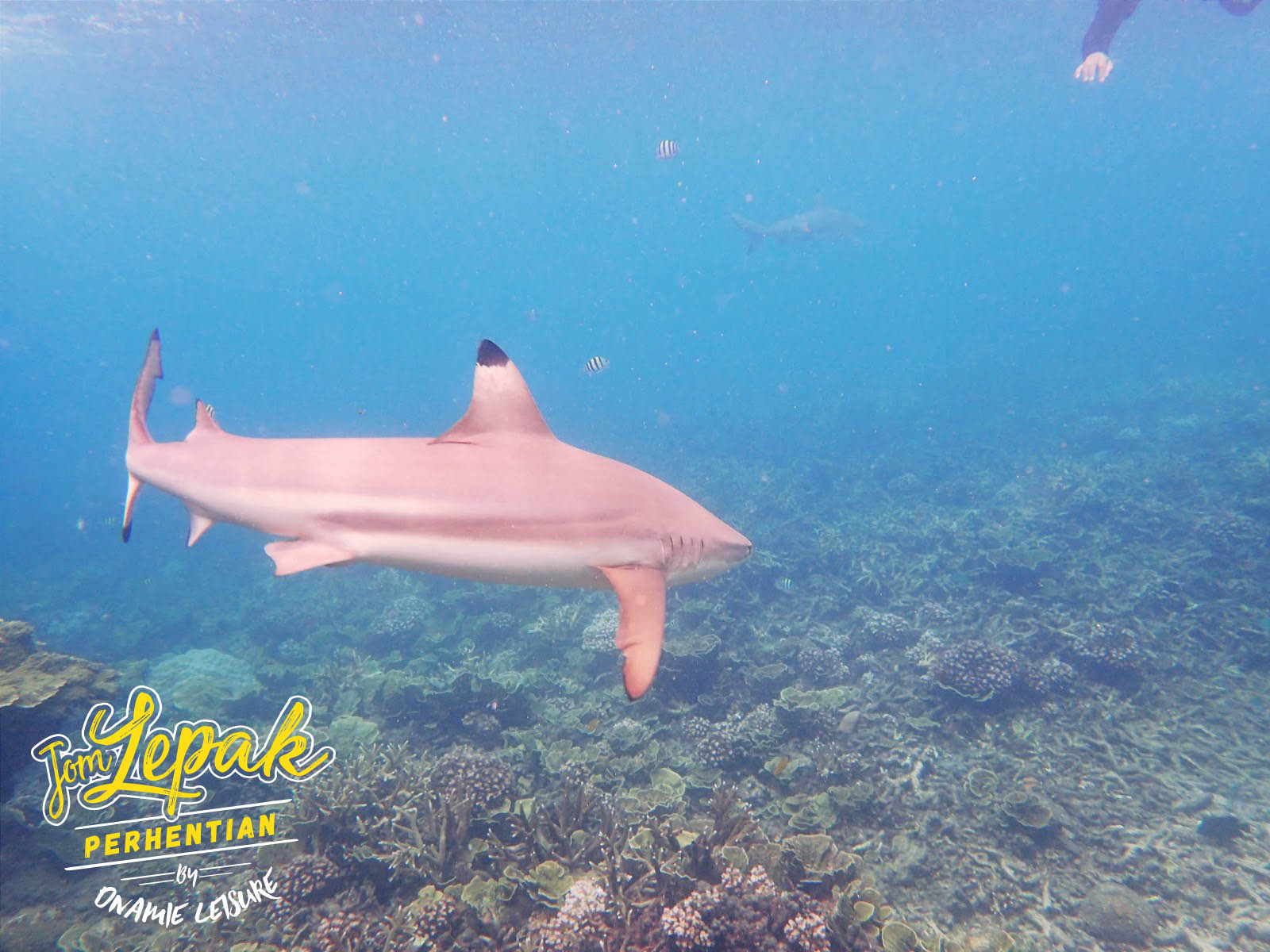 PAKEJ PULAU PERHENTIAN : SPECIAL OFFER & TRIP TO PERHENTIAN ISLAND