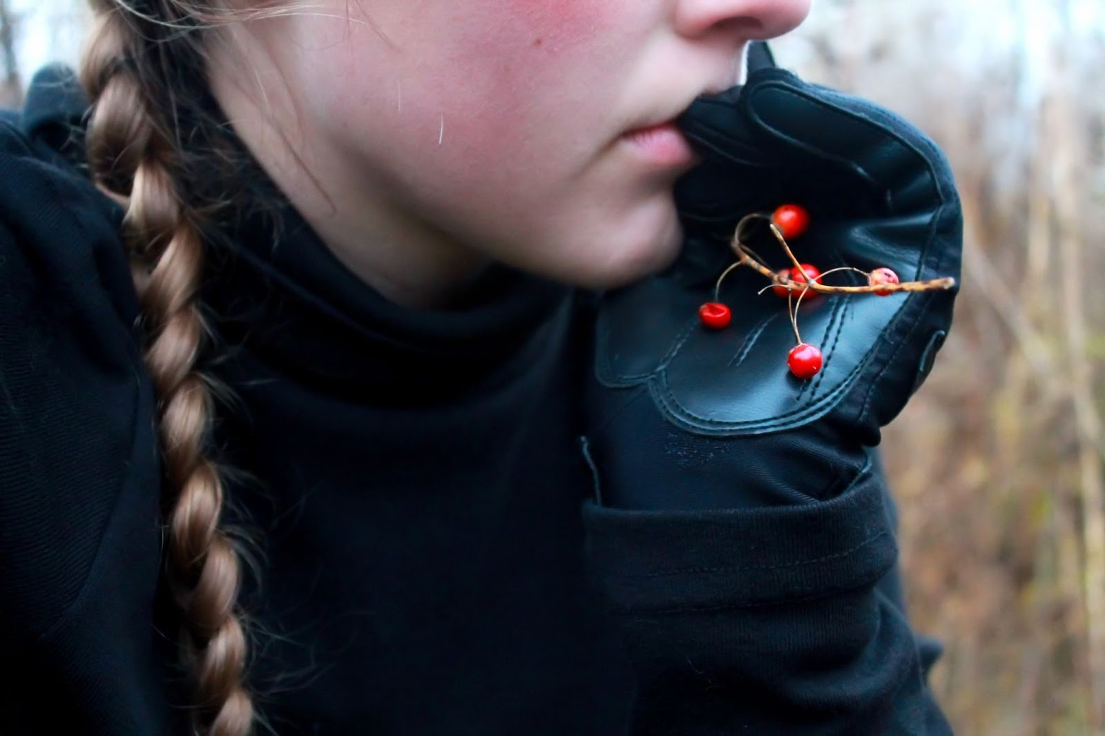 Exhortations by Elizabeth: Not-So-Calm November Eve: Assassin ...