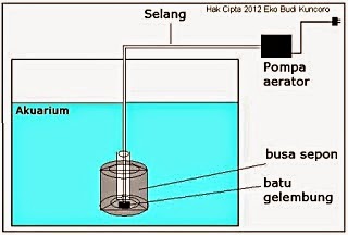 Mengenal Pompa Aquarium Dan Cara Kerjanya - Arreza MP