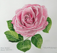 Ottawa Society of Botanical Artists: Members