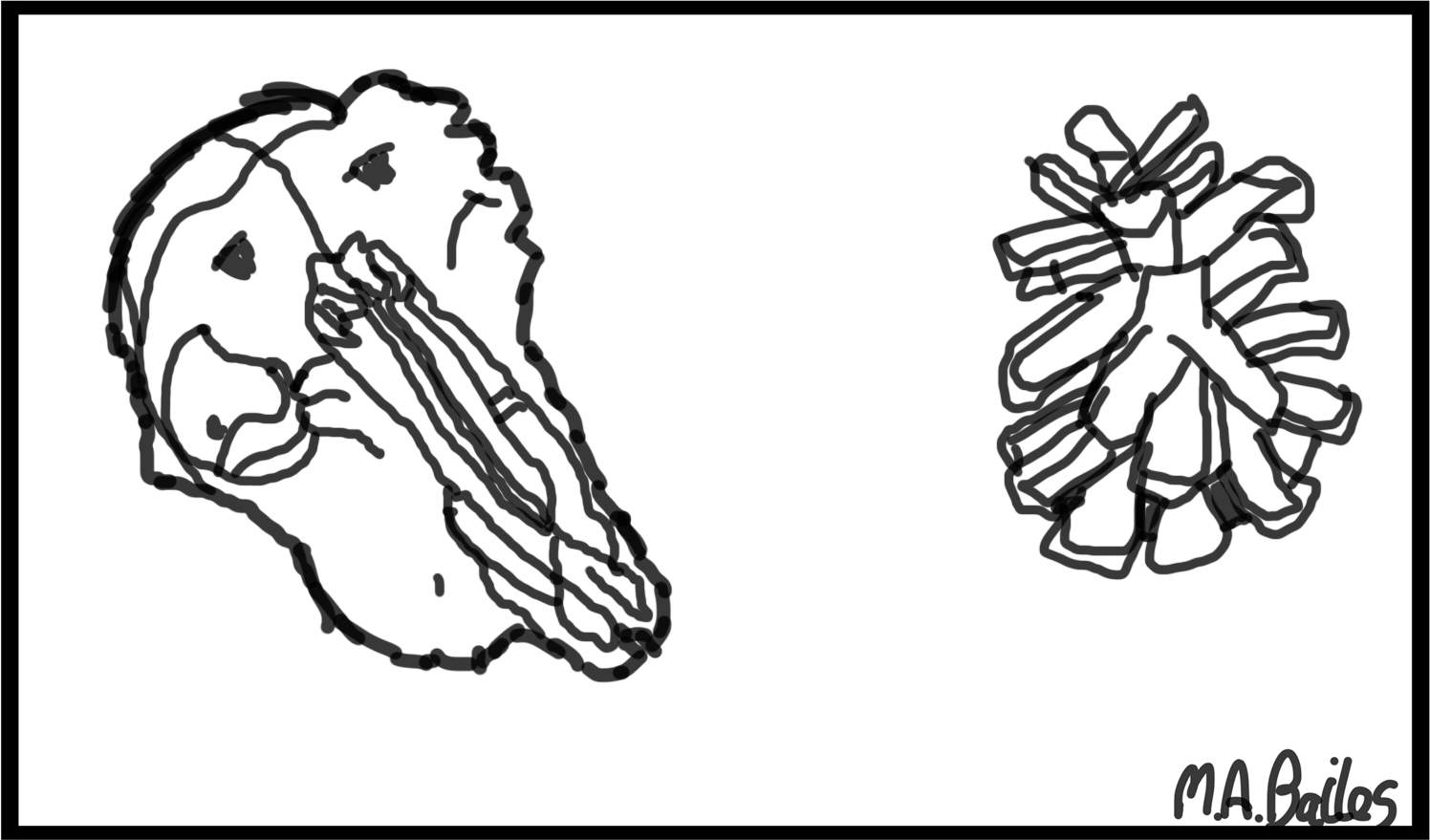 FdA Drawing for Animation: Observational Drawings