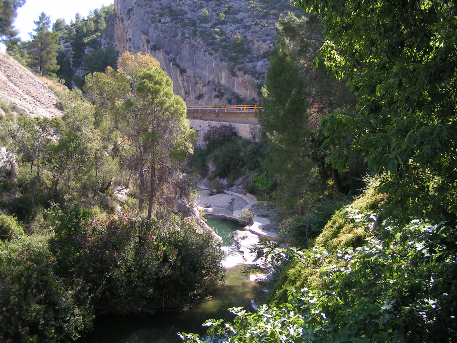 ACD. CAMINOS DE HERRADURA: POZOS CLAROS ONTENIENTE
