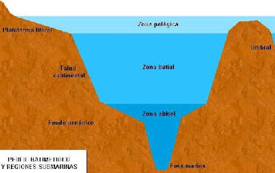 Ambiente Sedimentario