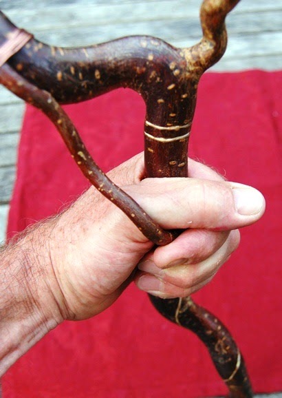 Witch Hazel Wands: Magic Witch Hazel Walking Stick #1