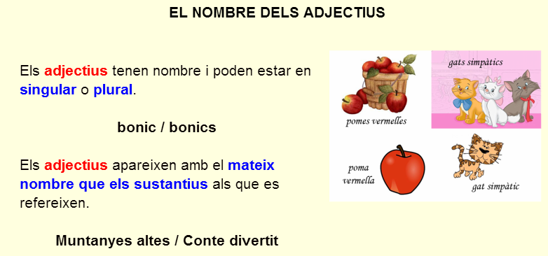 3r PRIMÀRIA 12/13 - CEIP CAN COIX: Gènere i nombre dels adjectius