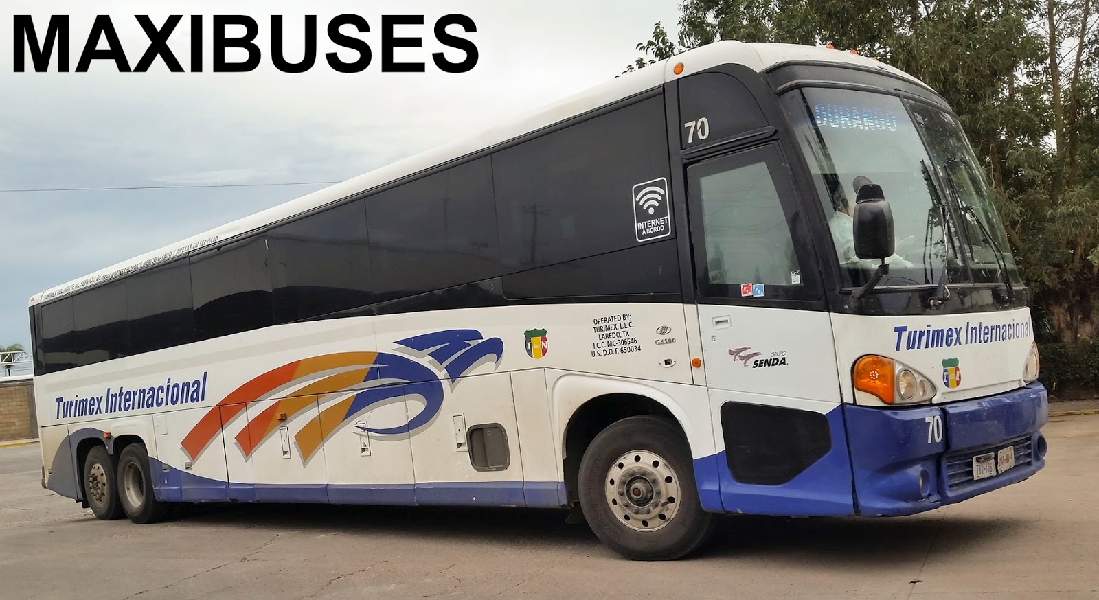 MAXIBUSES: TURIMEX INTERNACIONAL